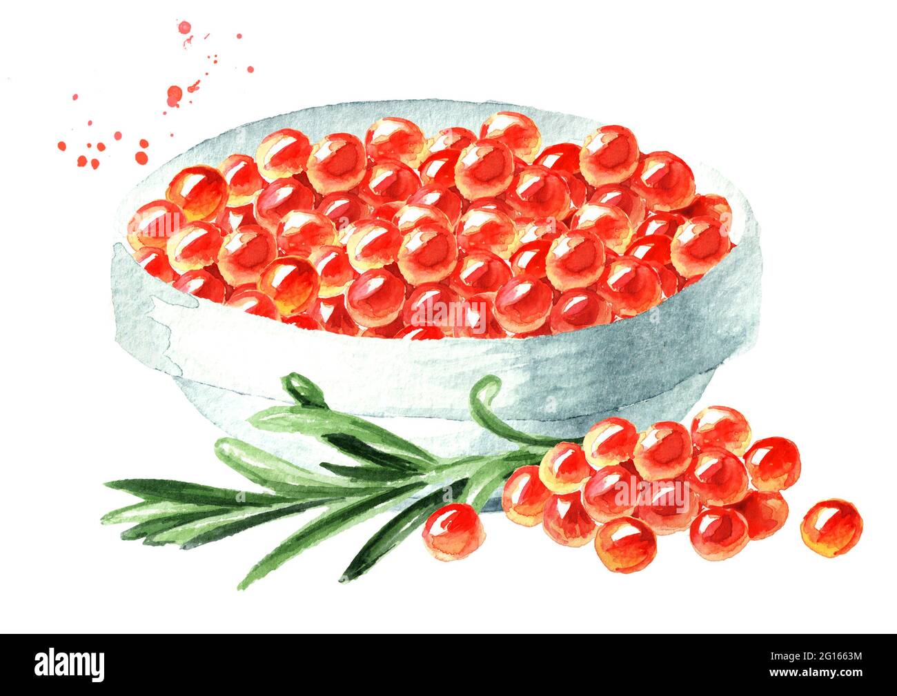Red caviar in the bowl. Watercolor hand drawn illustration, isolated on ...