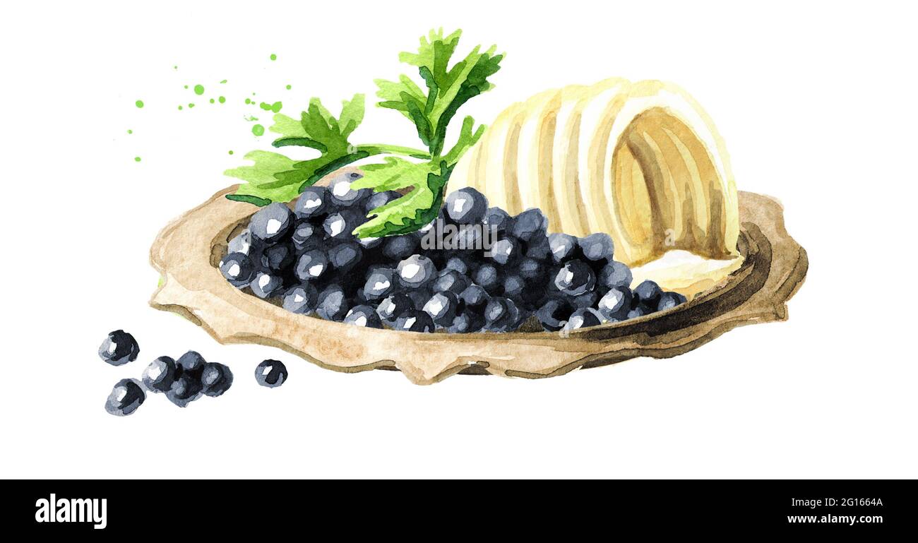 Black caviar on the plate. Watercolor hand drawn illustration isolated ...