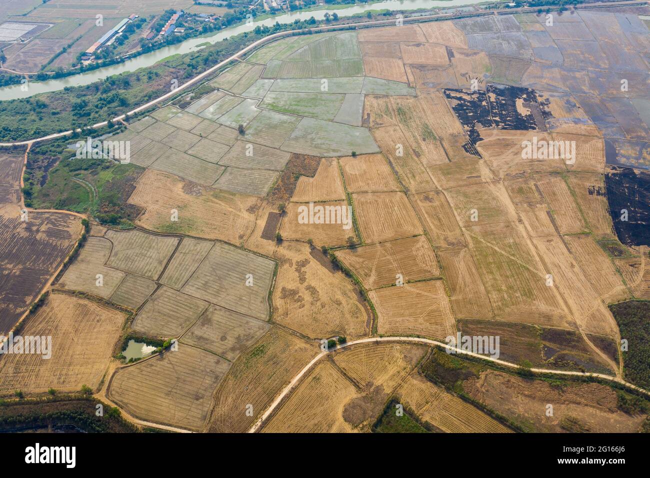 aerial view from flying drone of Field rice with landscape green ...
