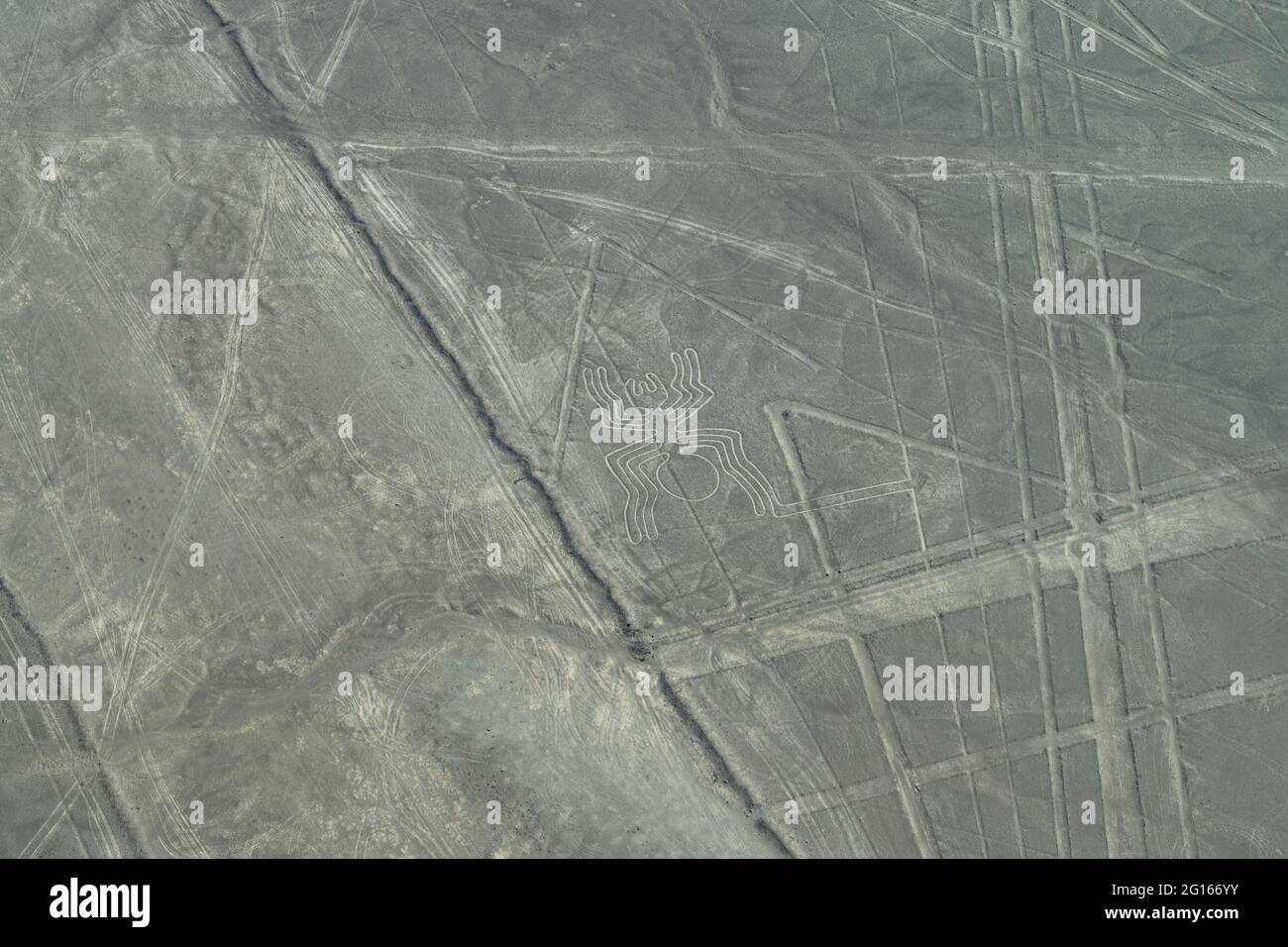 Aerial View of The Spider Geoglyph at the Nazca Lines in Peru Stock ...