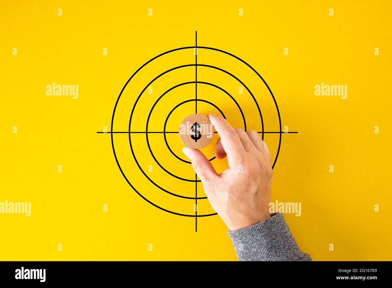 Dollar icon, in the center of the target on a yellow background. The ...