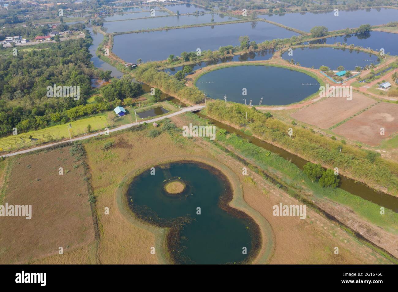Aerial view from flying drone of Fish pond, fish farm Stock Photo - Alamy