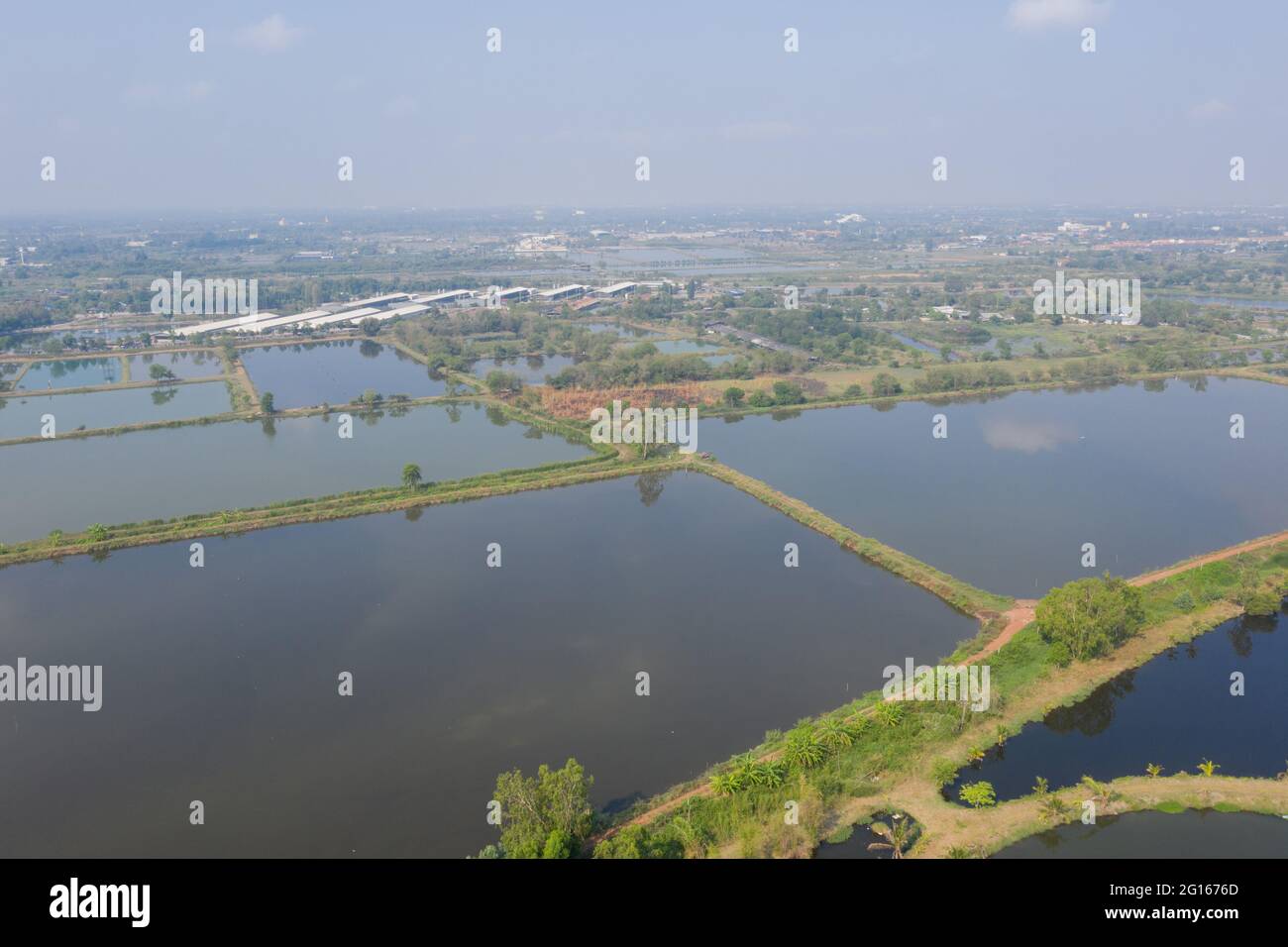 Aerial view from flying drone of Fish pond, fish farm Stock Photo - Alamy