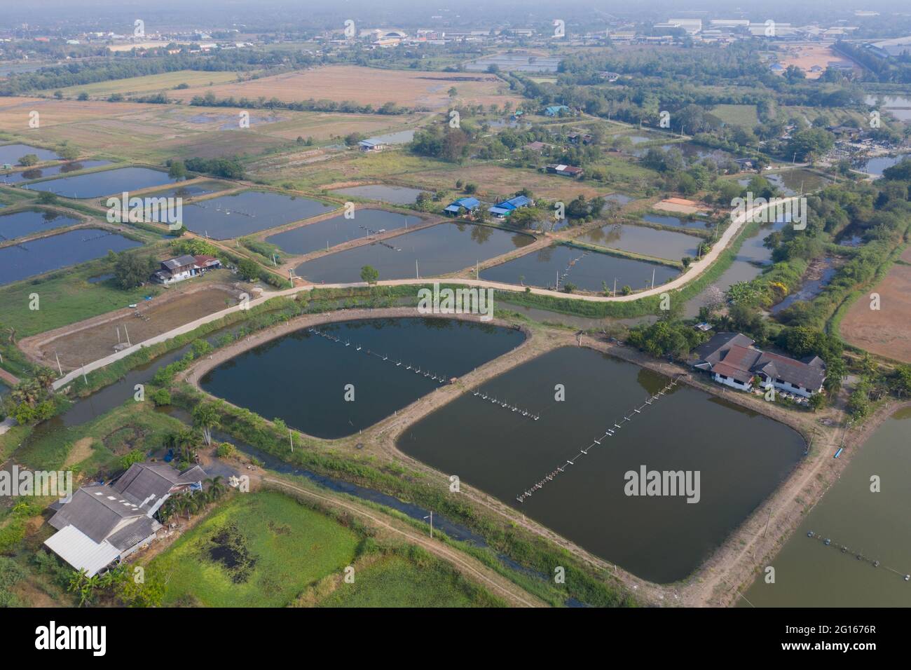 Aerial view from flying drone of Fish pond, fish farm Stock Photo - Alamy