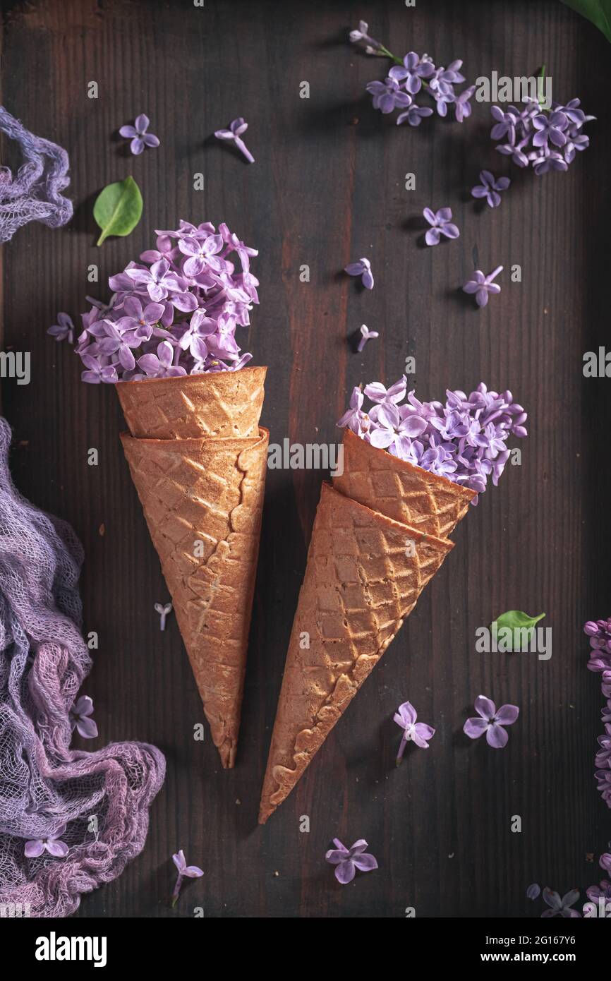Beautiful ice cream of flower flavour. Summer flower composition ...