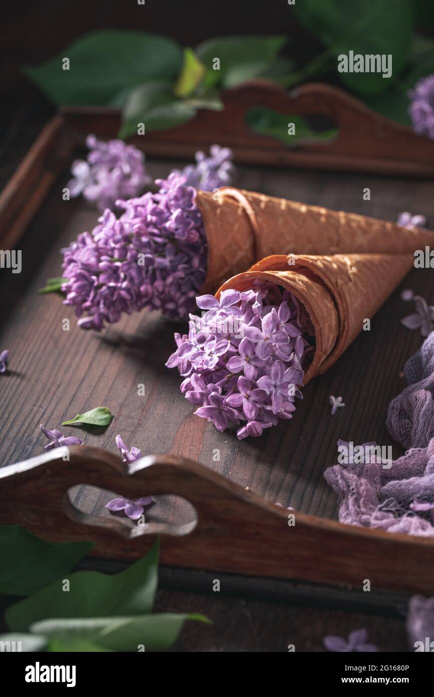 Violet ice cream of lilac flowers. Flower flavour ice cream. Beautiful ...