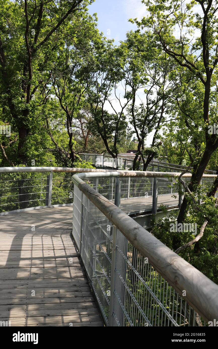 Forest treetop path tourists hi-res stock photography and images - Alamy