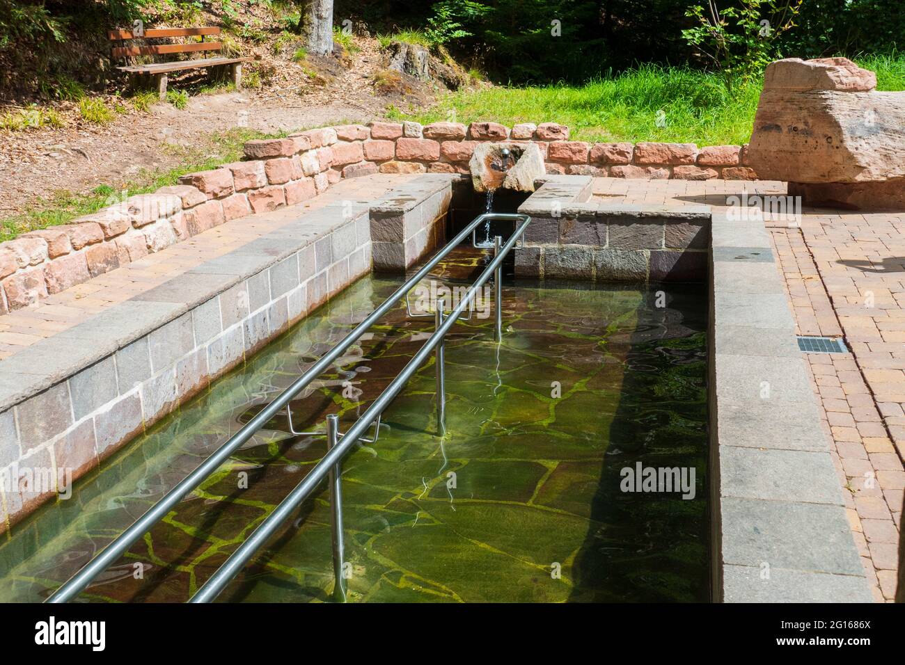 Öffentliches Kneipp Becken im Wald von Baden-Baden Stock Photo - Alamy