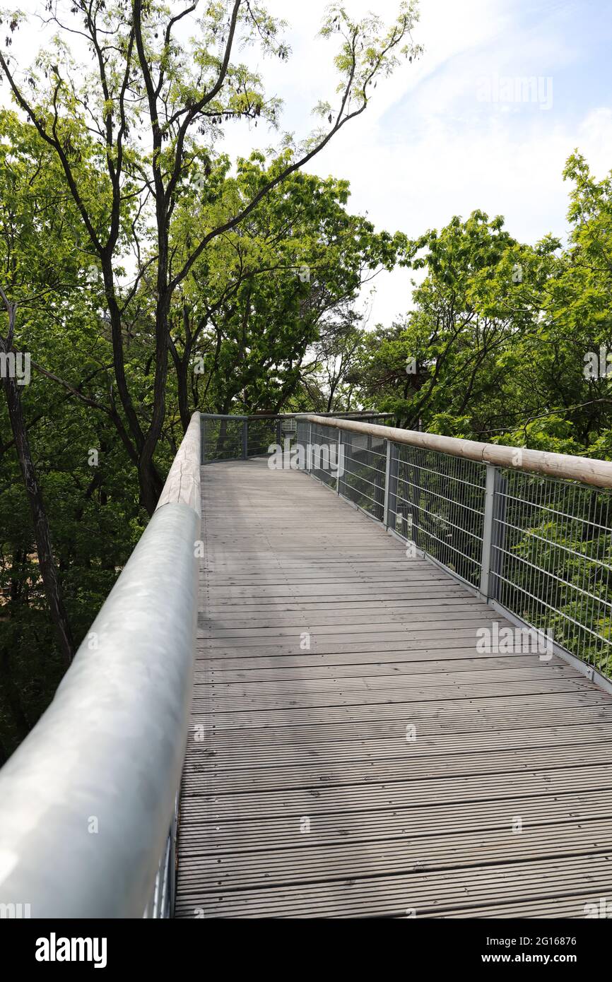 Pathway through trees tower hi-res stock photography and images - Alamy