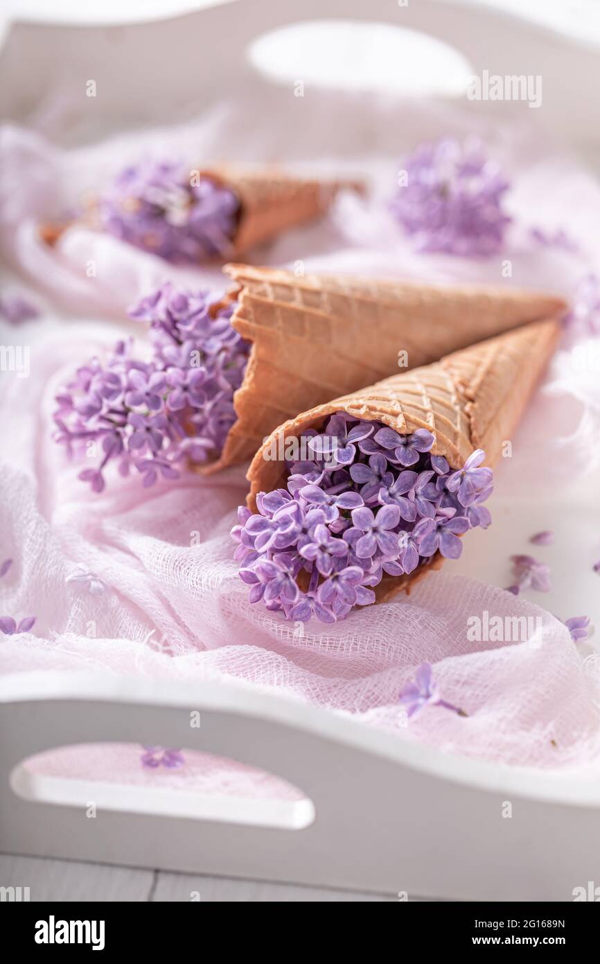 Gorgeous ice cream of flower flavour. Floral concept for summer ...
