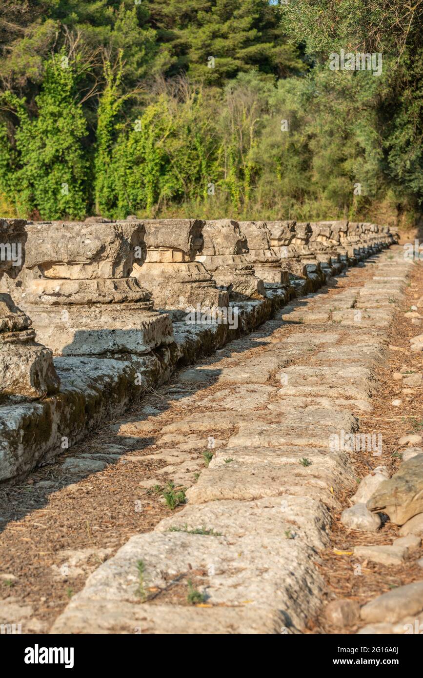 Broken Column remains in the Old city of Olympia in Peloponnes with its ...