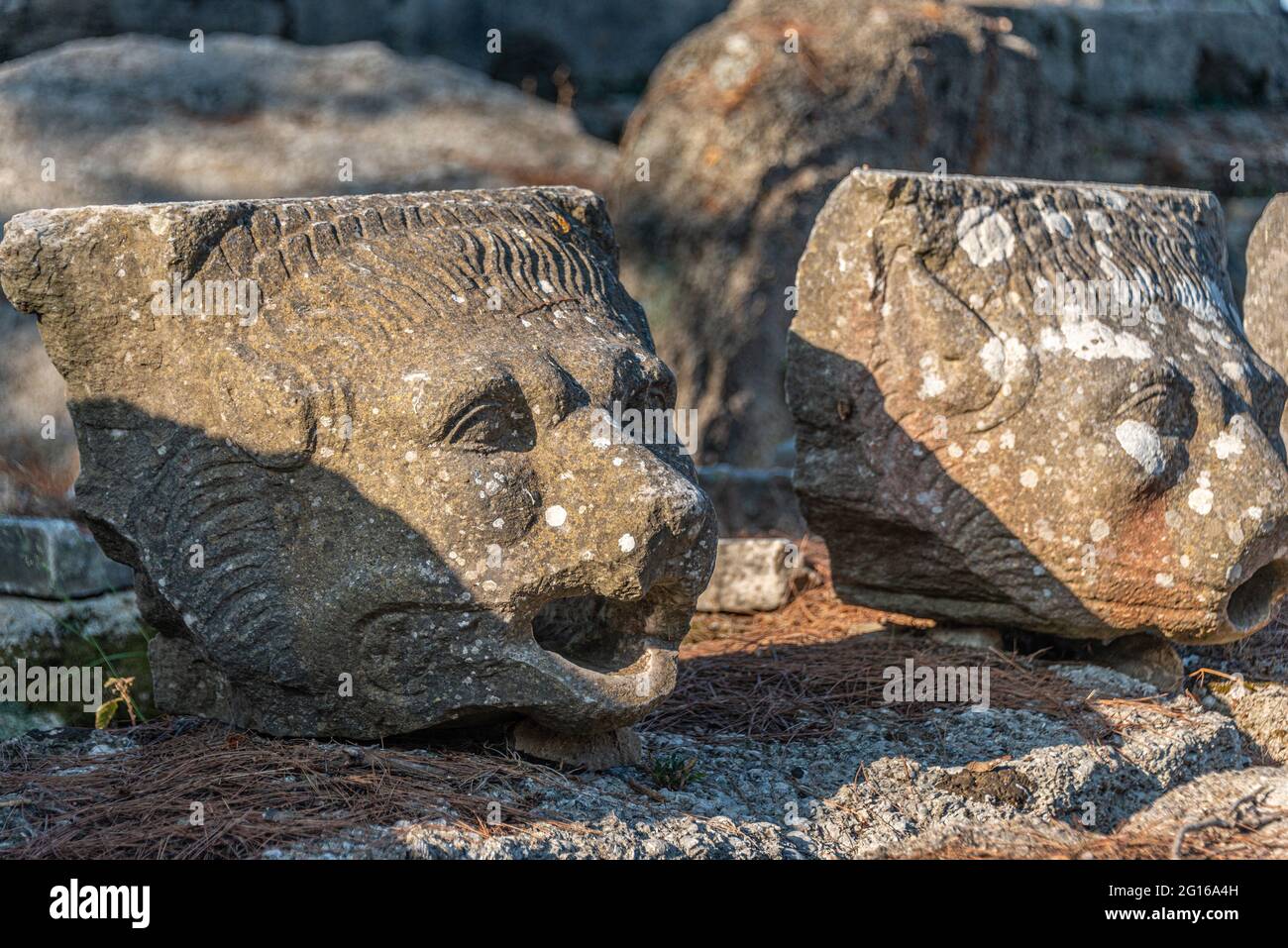 Broken Column remains in the Old city of Olympia in Peloponnes with its ...