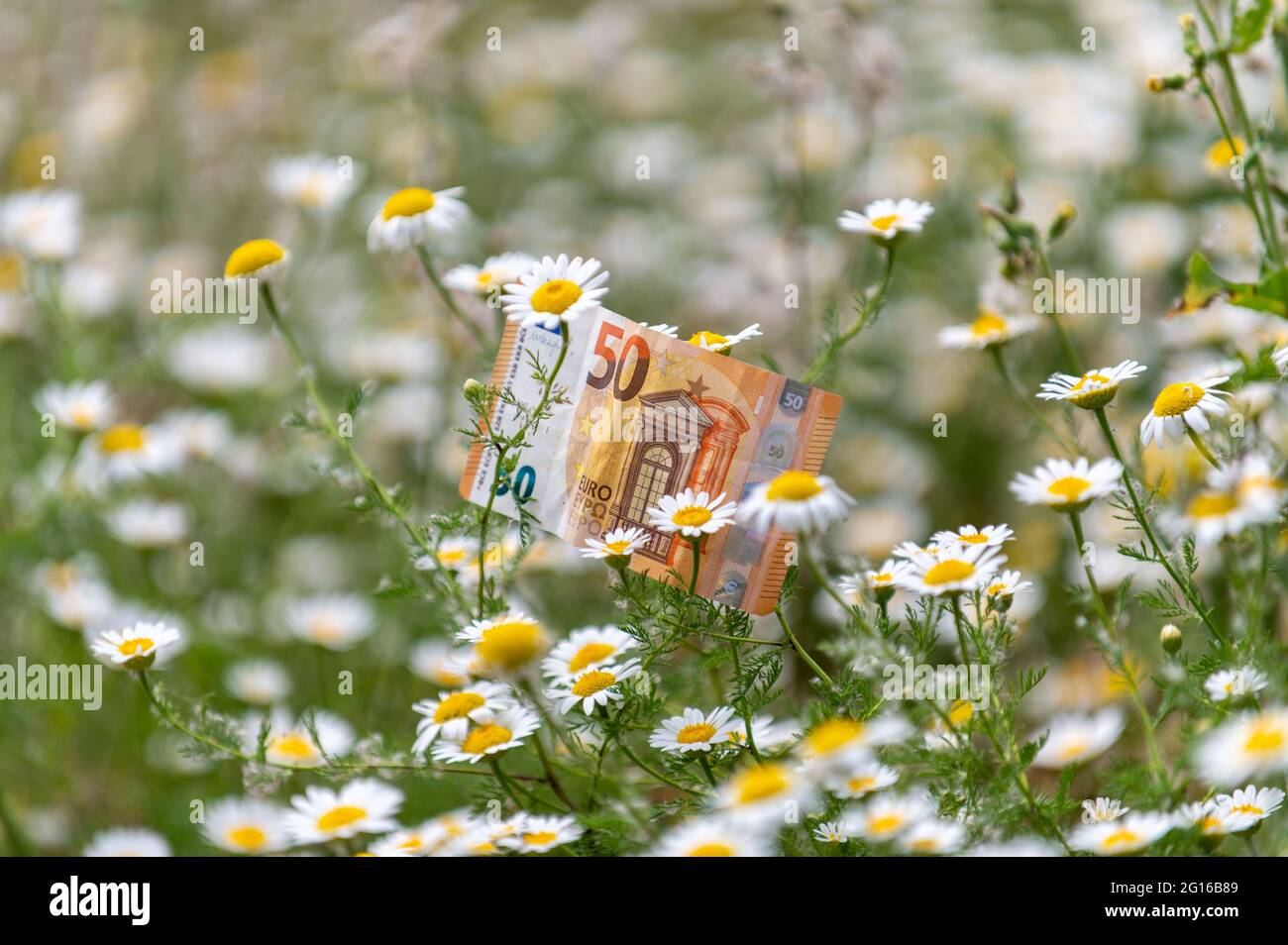 100 euro water hi-res stock photography and images - Alamy
