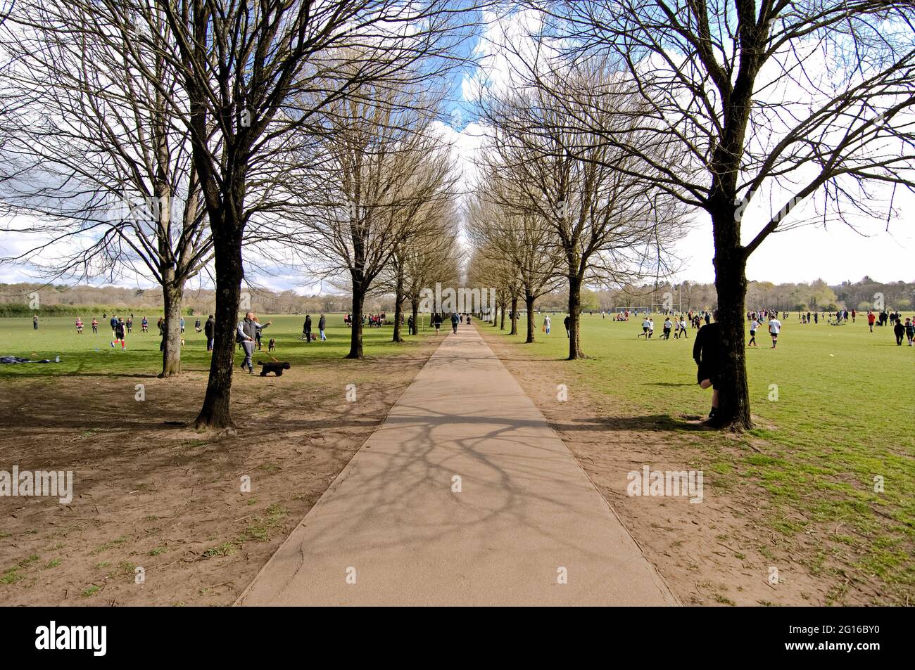 Pontcanna hi-res stock photography and images - Alamy