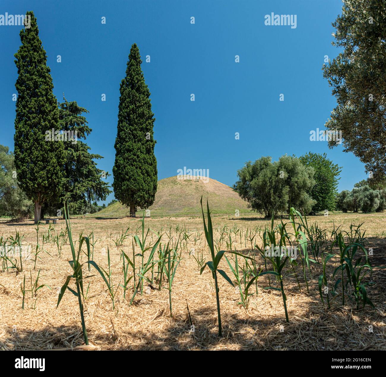 Battle of marathon mound hi-res stock photography and images - Alamy