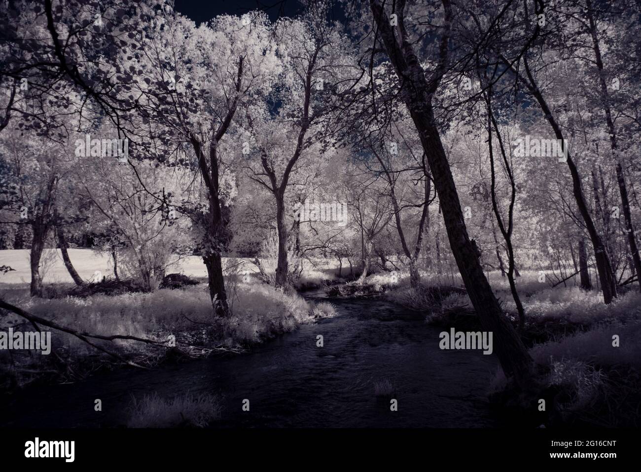 720nm infrared light spectrum hi-res stock photography and images - Alamy