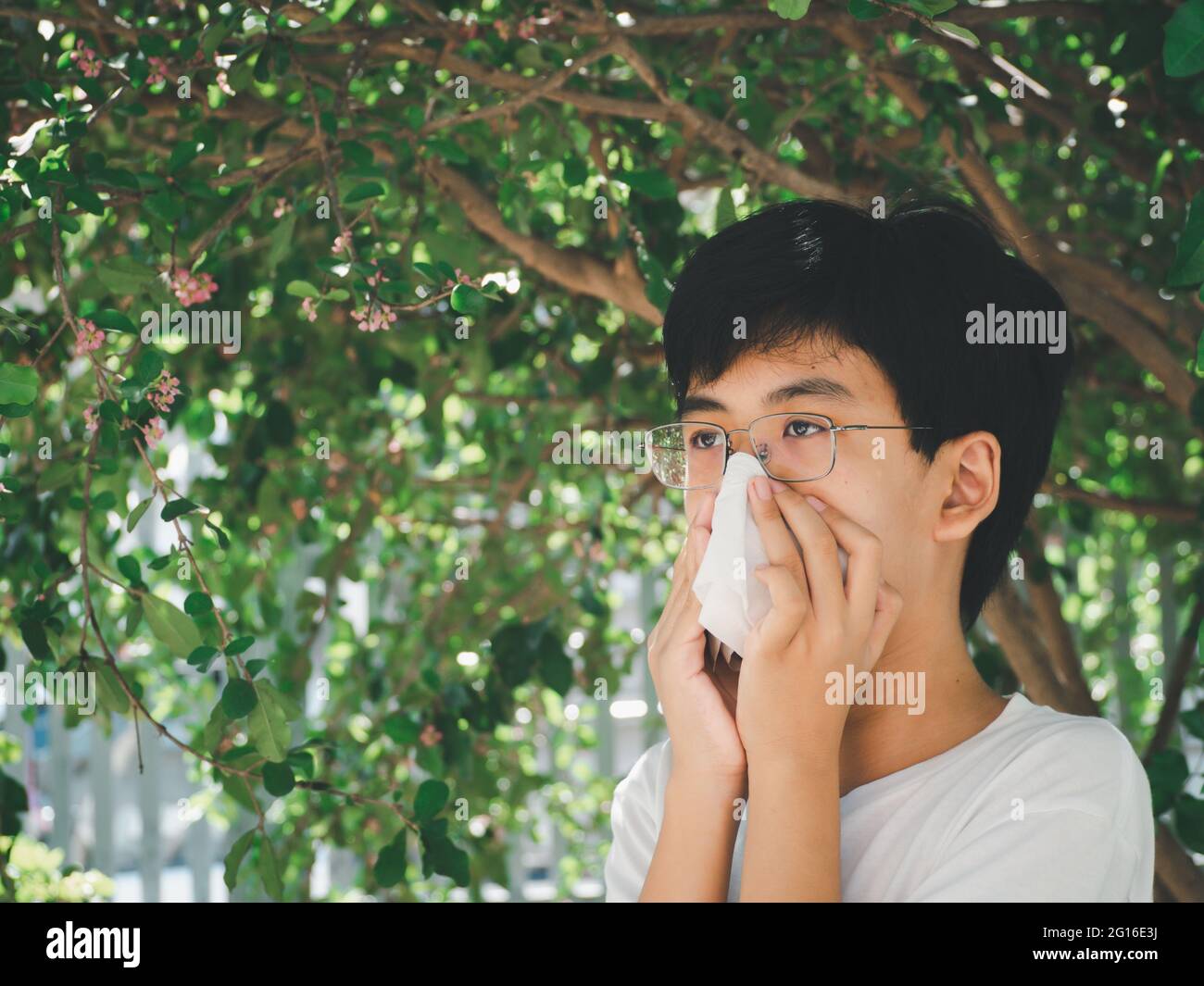 Boy sneezing hi-res stock photography and images - Alamy