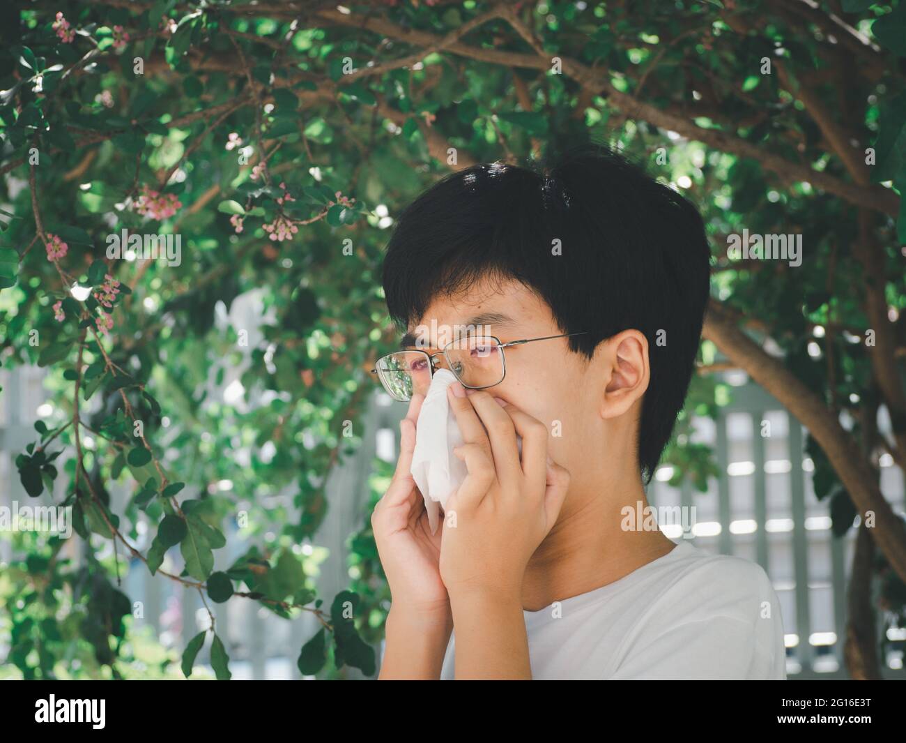 Boy sneezing hi-res stock photography and images - Alamy