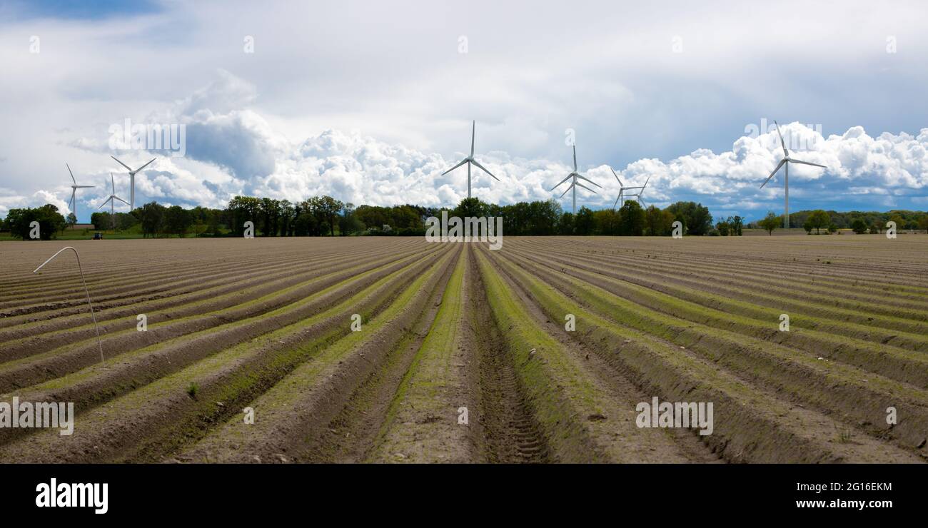 field with no crops in front of a wind farm producing clean energy and ...