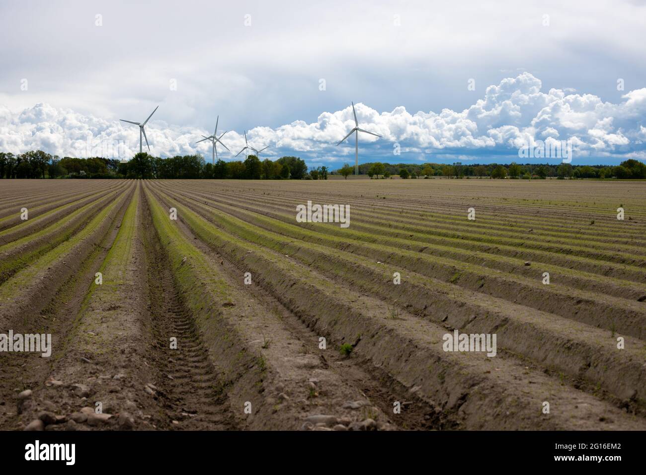 field with no crops in front of a wind farm producing clean energy and ...