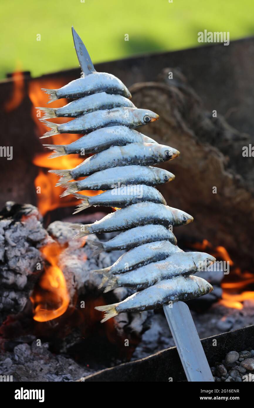 fish assorted in skewers, logs and fire, with beach and umbrellas in ...