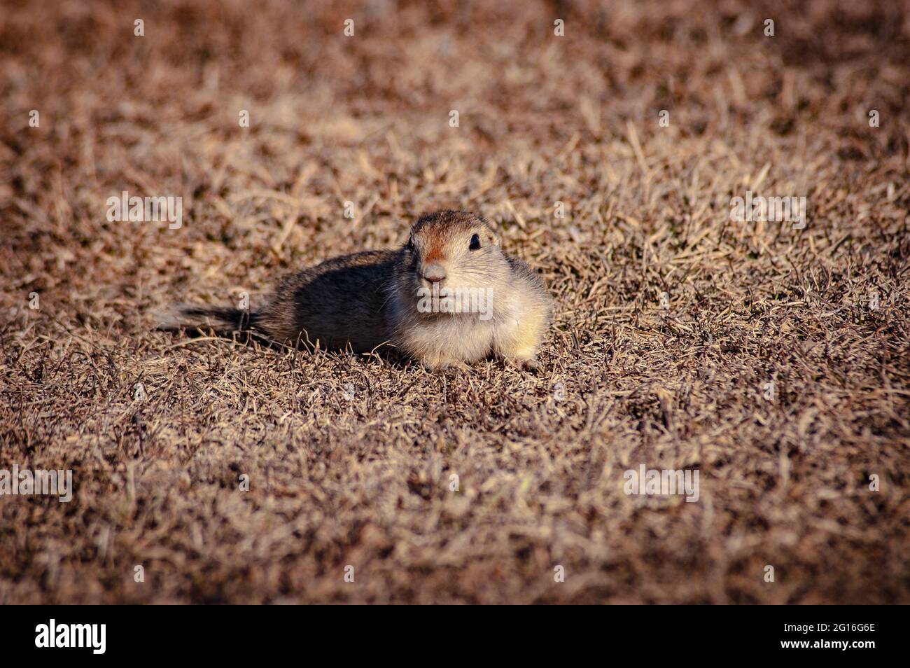 Back to the soil hi-res stock photography and images - Alamy