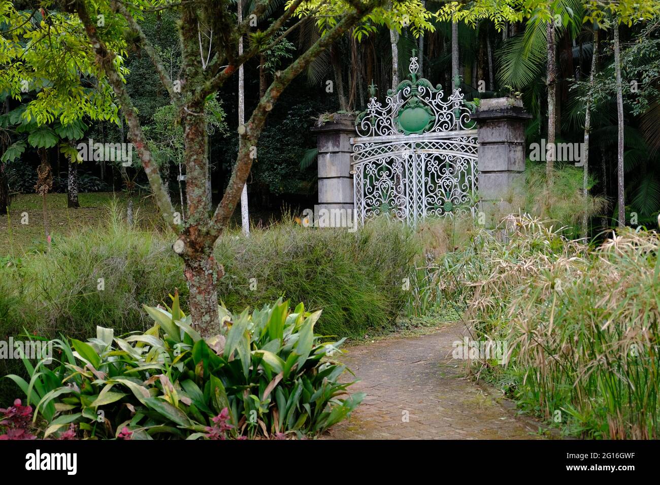 Brazil Sao Paulo - Historical gate in Botanical garden Stock Photo - Alamy