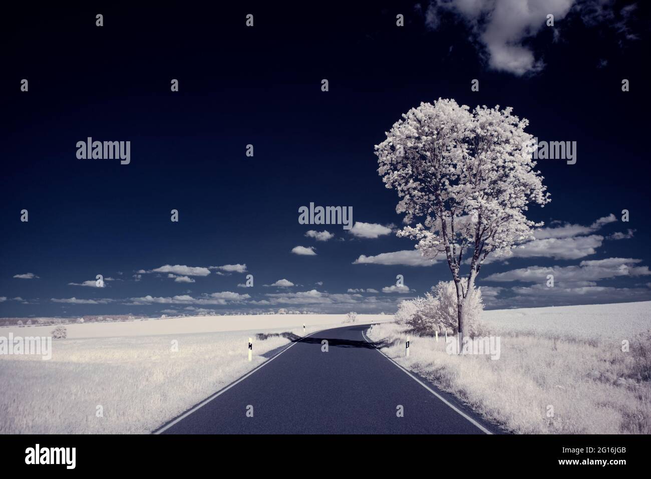 Infrared landscape with glowing white vegetation using 720nm filter ...