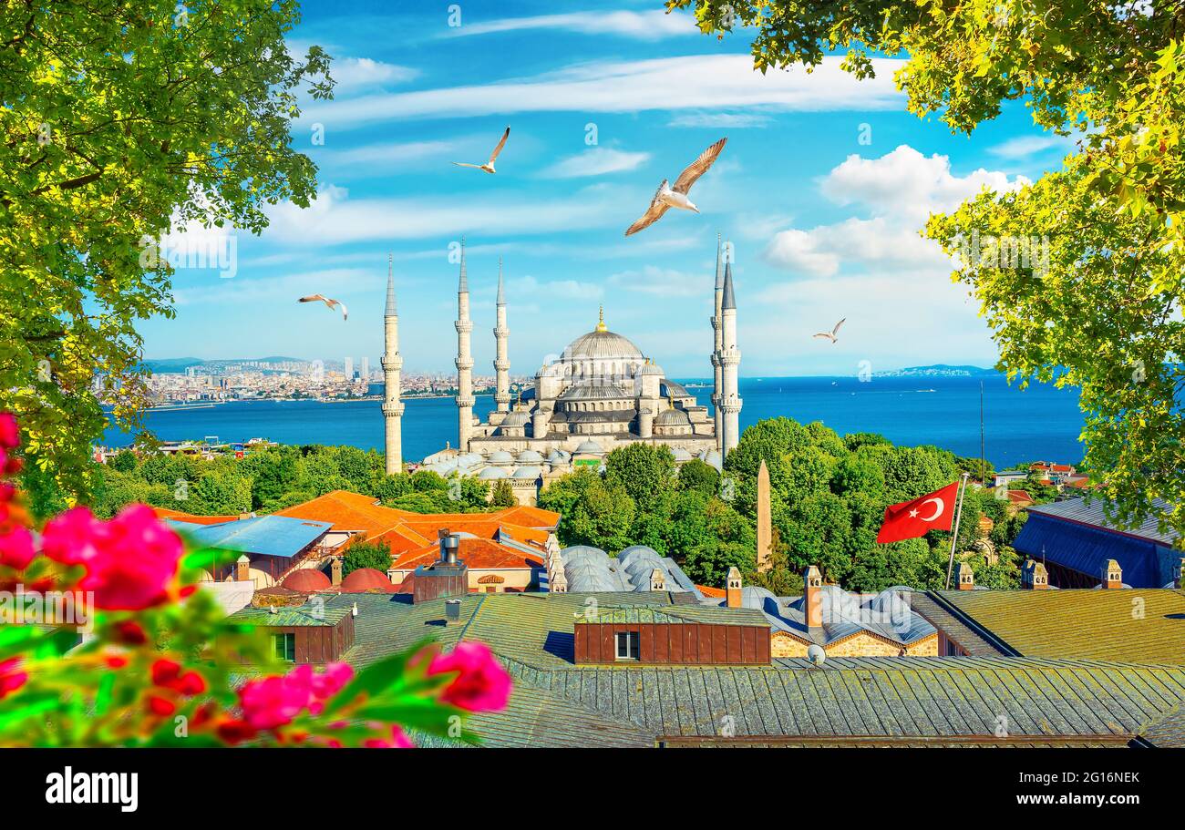 Blue Mosque and Bosphorus in Istanbul, Turkey Stock Photo - Alamy