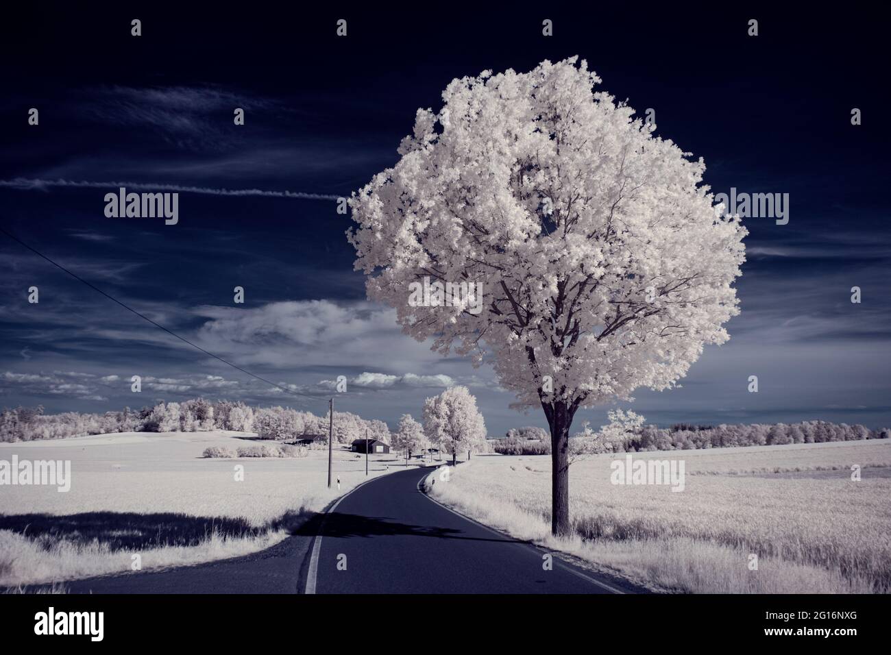 Infrared landscape with glowing white vegetation using 720nm filter ...