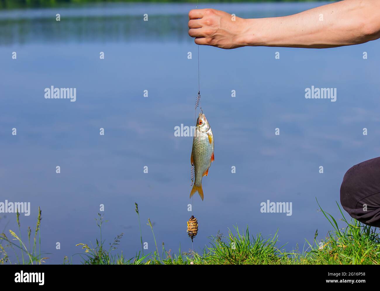 Hanged fish hi-res stock photography and images - Alamy