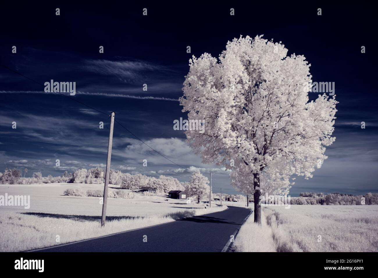 Infrared landscape with glowing white vegetation using 720nm filter ...