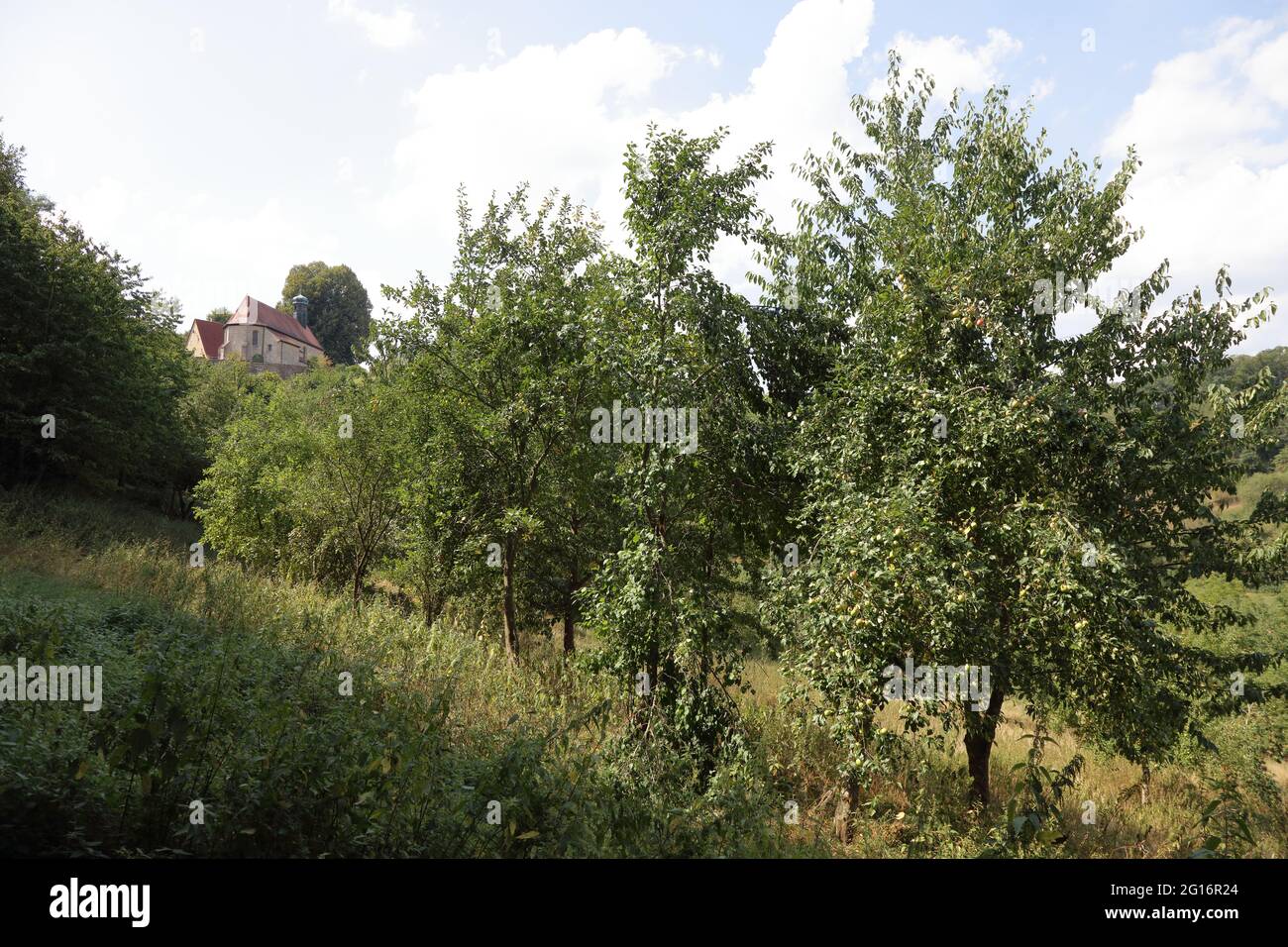 Spalter hi-res stock photography and images - Alamy