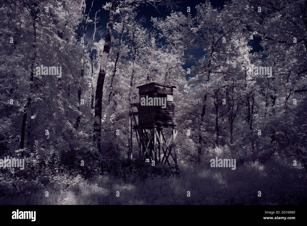 infrared photography - surreal ir photo of landscape with trees under ...