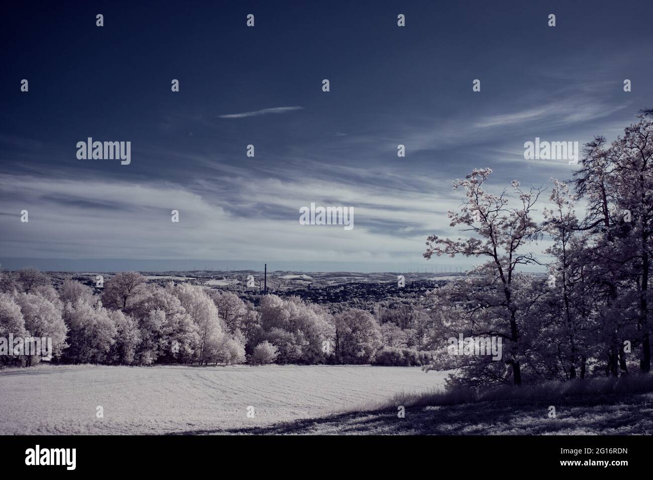 Infrared landscape with glowing white vegetation using 720nm filter ...
