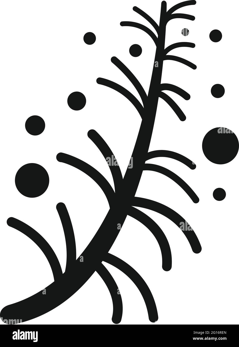 Essential oils aromatherapy Black and White Stock Photos & Images - Alamy