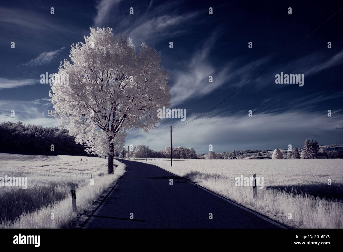 Infrared landscape with glowing white vegetation using 720nm filter ...