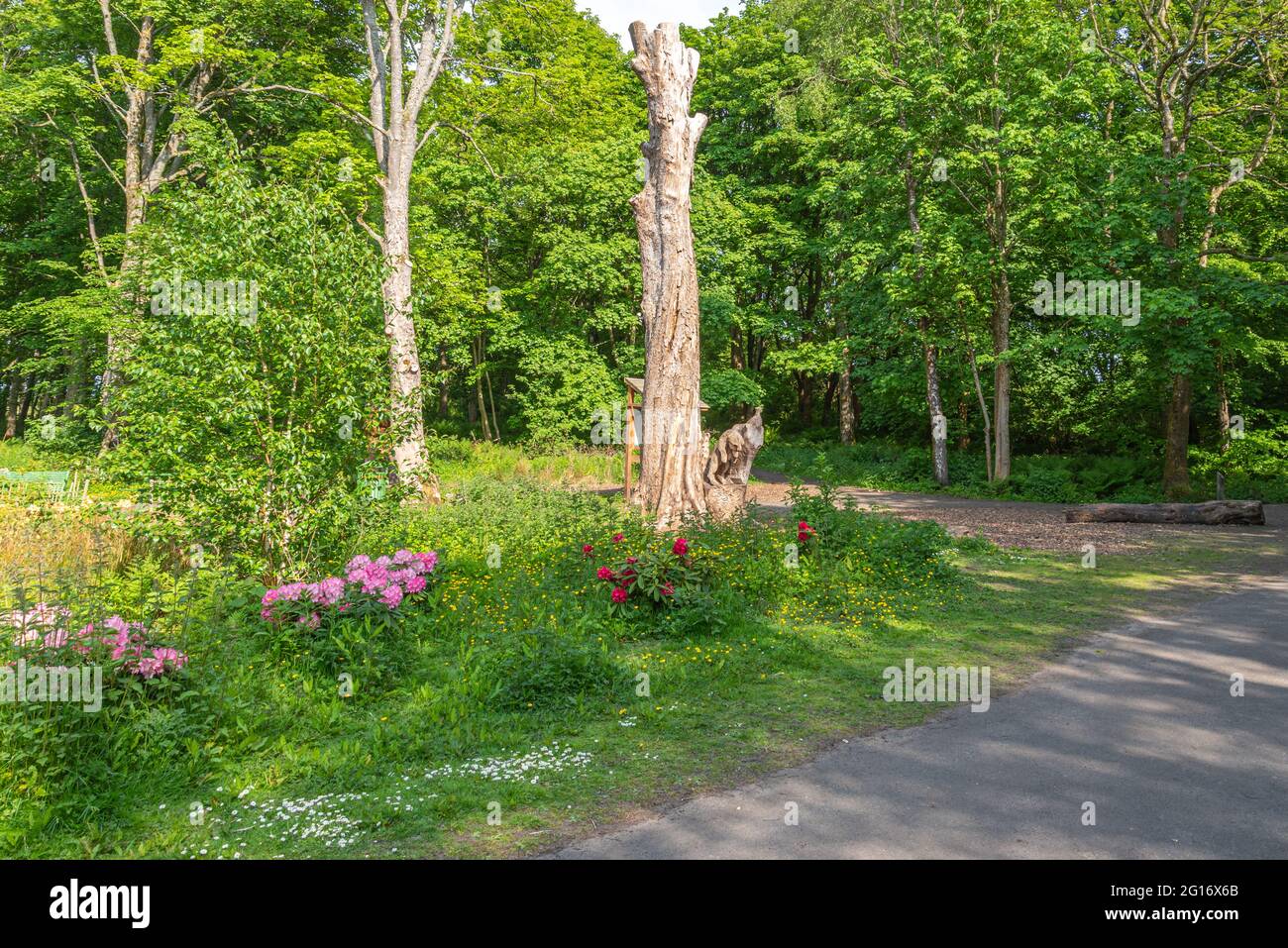 Fullarton fairy trail hi-res stock photography and images - Alamy