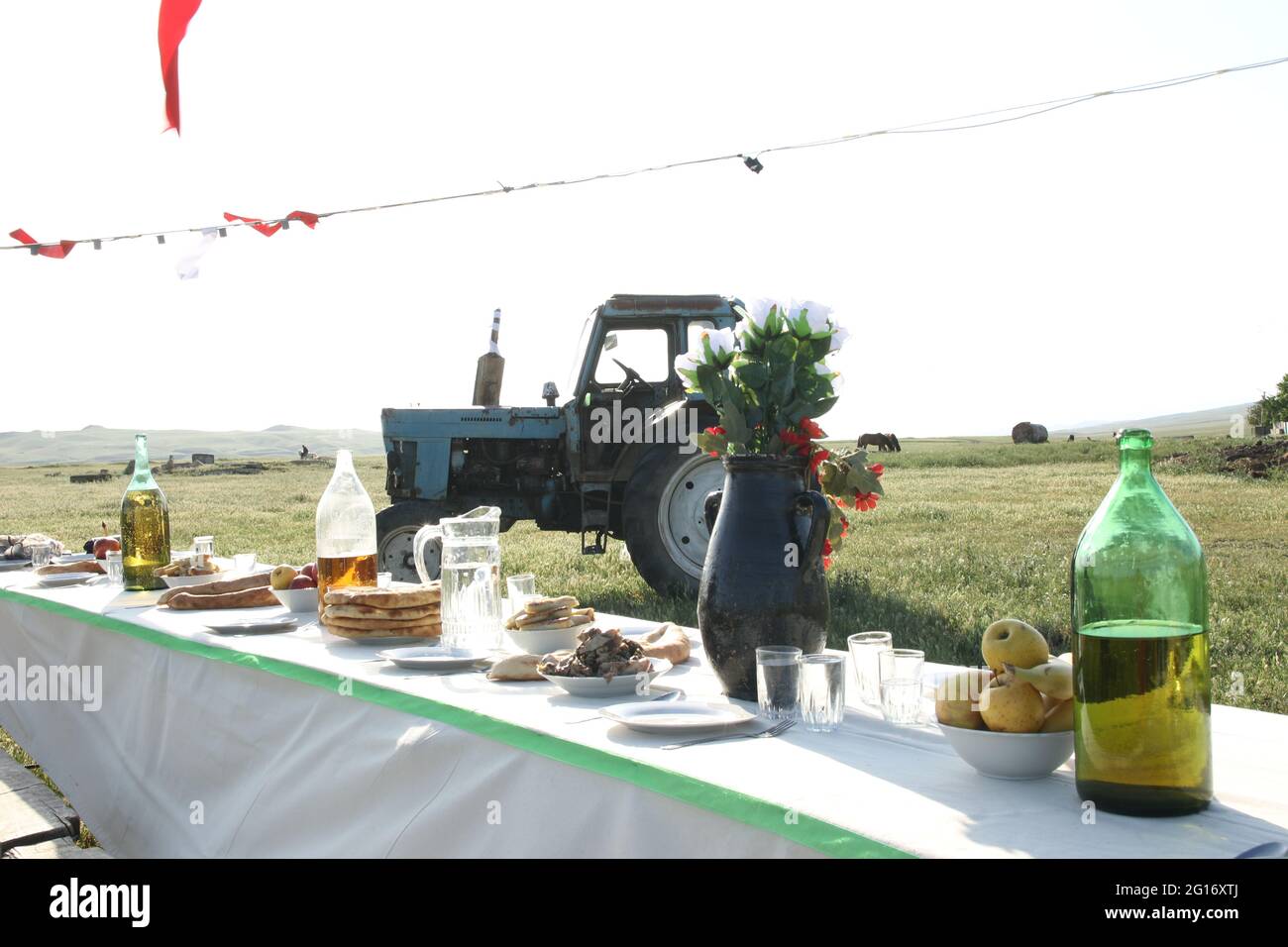Village wedding party hi-res stock photography and images - Alamy