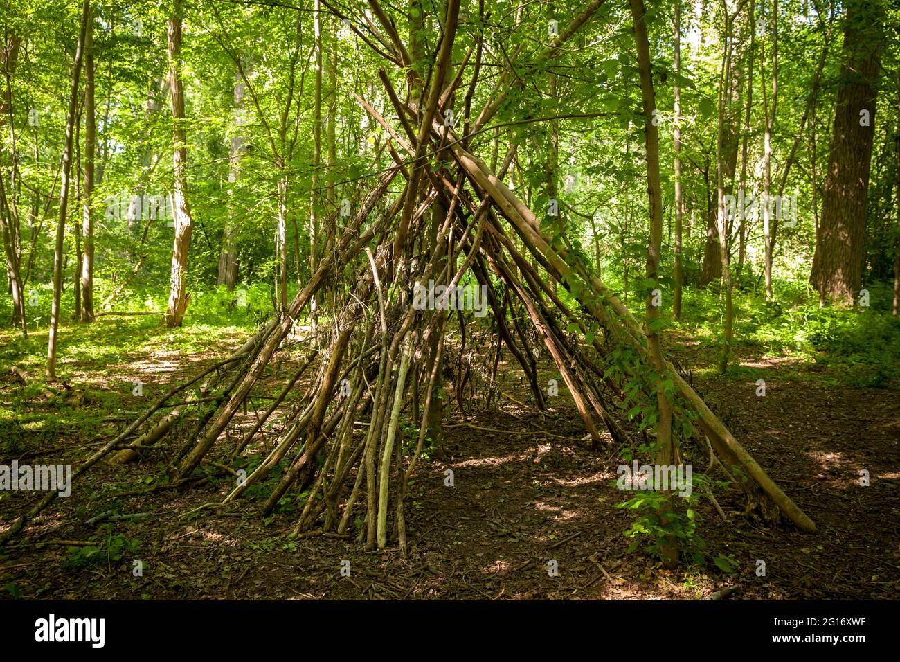 branch hut in the Worringer Bruch, an 8000 year old silted up meander ...