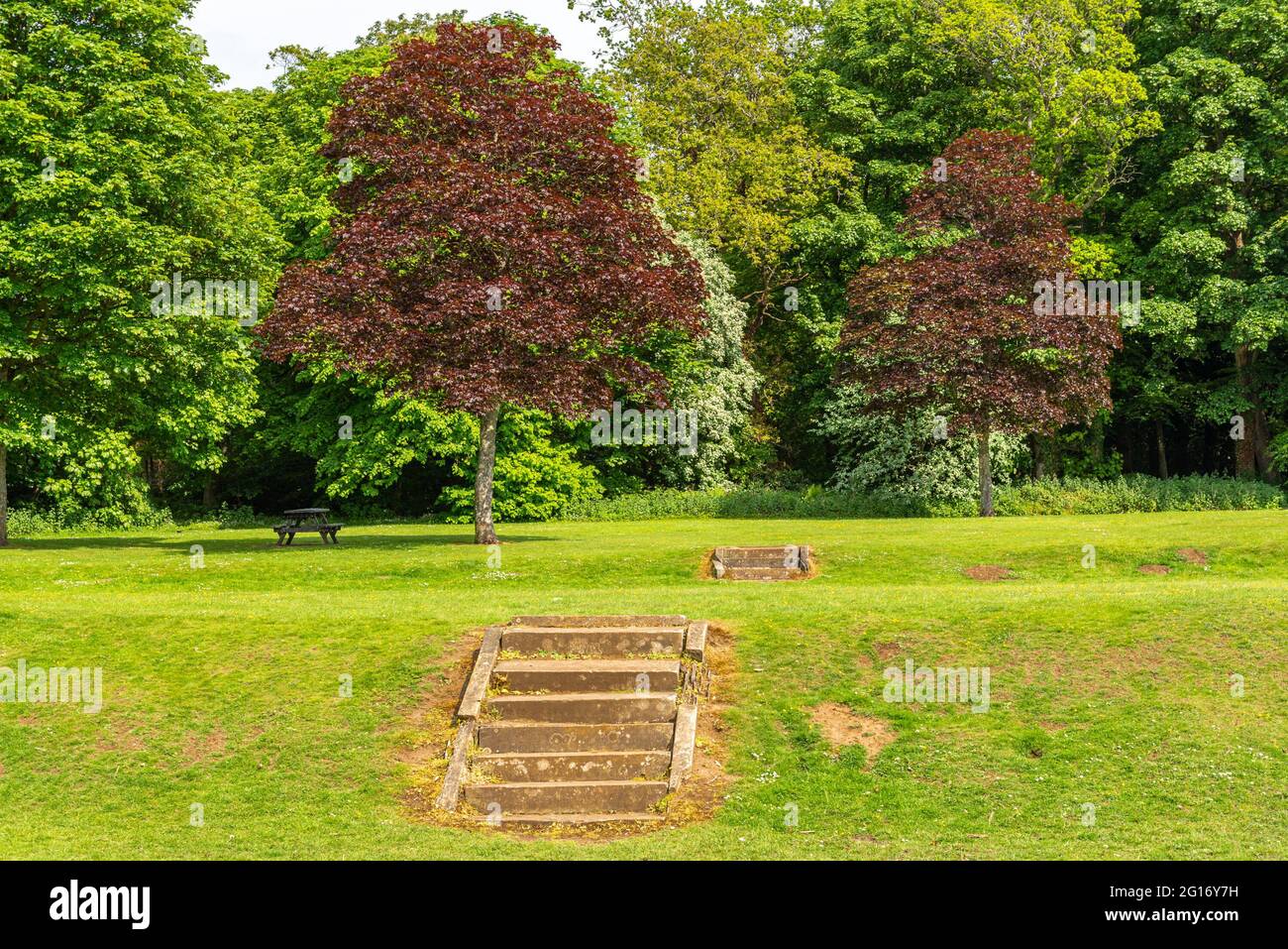 The fairy glen footpaths of Fullerton Park in Troon Scotland and the ...