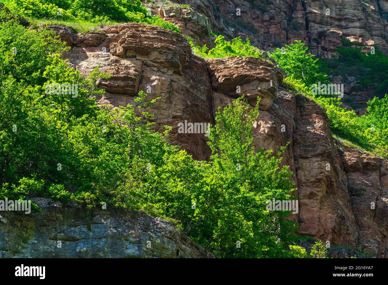 Rock layers in nature reserve Stock Photo - Alamy