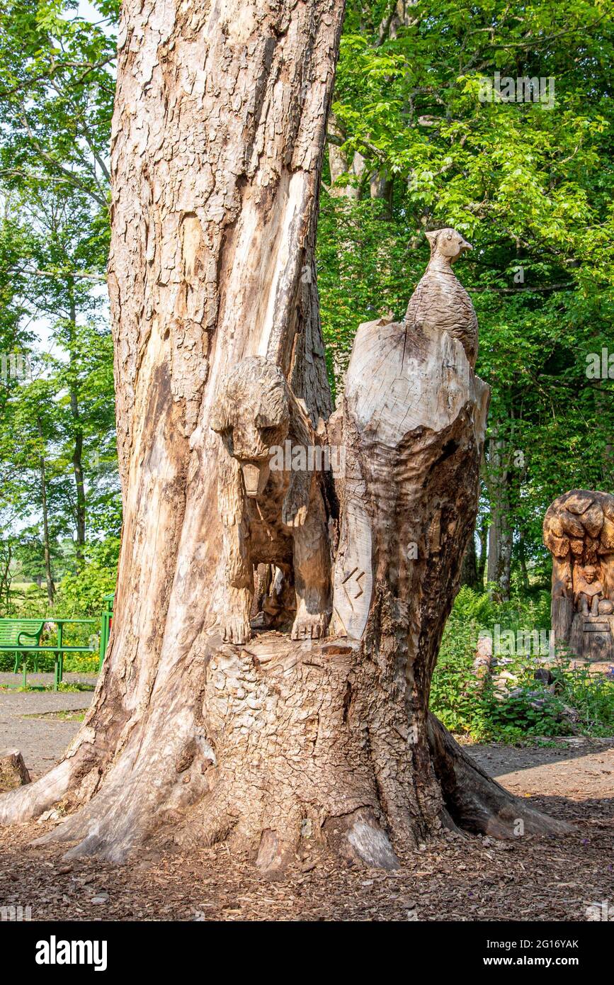 Fullarton fairy trail hi-res stock photography and images - Alamy