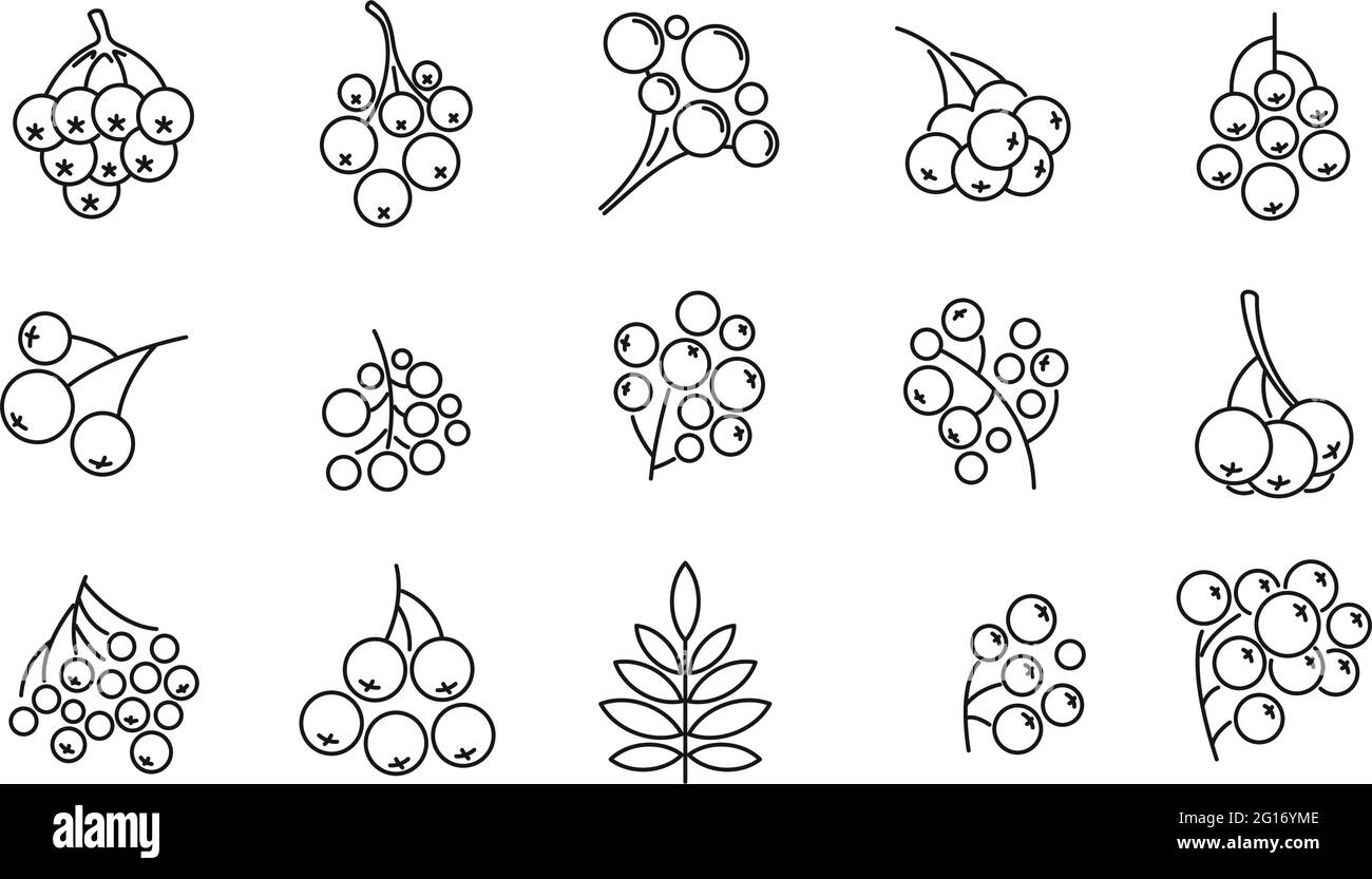 Rowan outline hi-res stock photography and images - Alamy