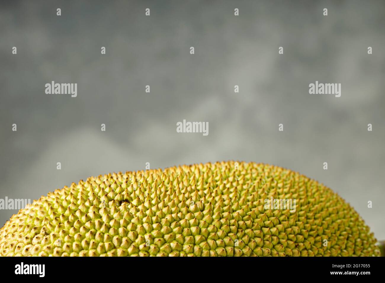 Jackfruit arranged beautifully in a grey and white textured background ...