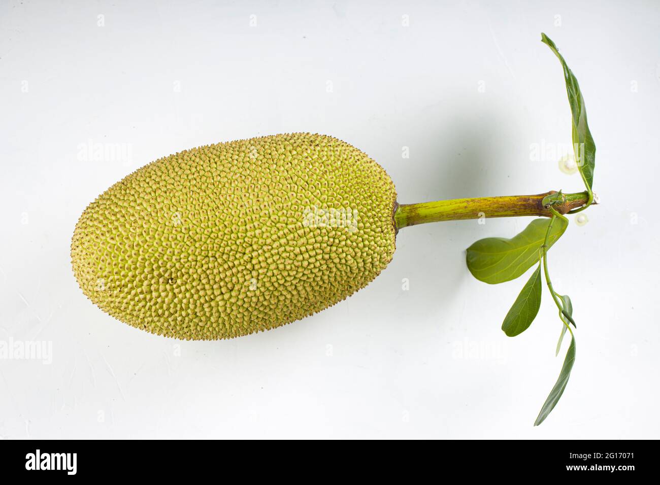 Jackfruit arranged beautifully in a grey and white textured background ...