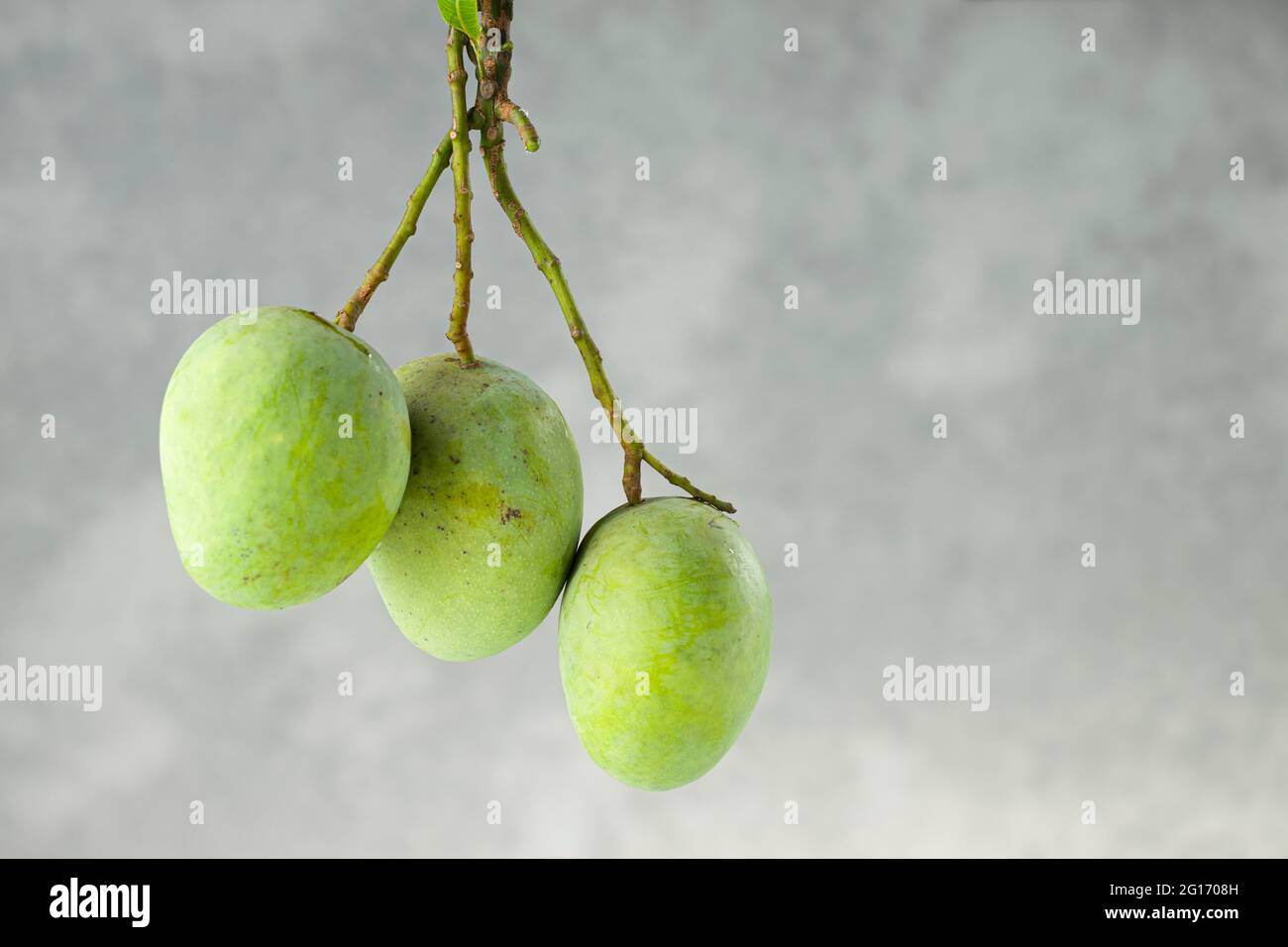 Bunch of Raw mango or Green mango with grey and white textured ...