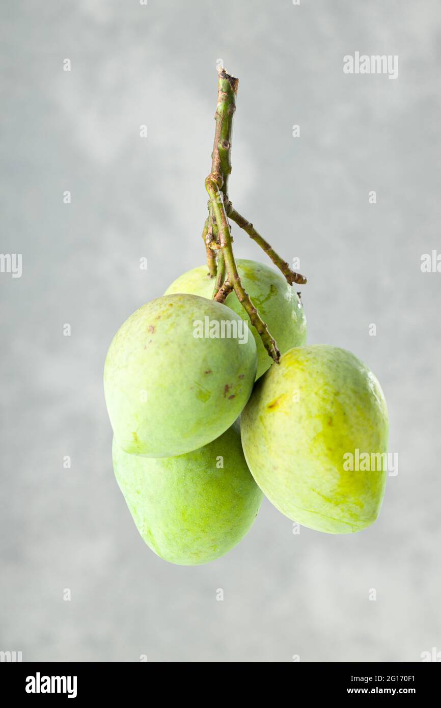 Bunch of Raw mango or Green mango with grey and white textured ...