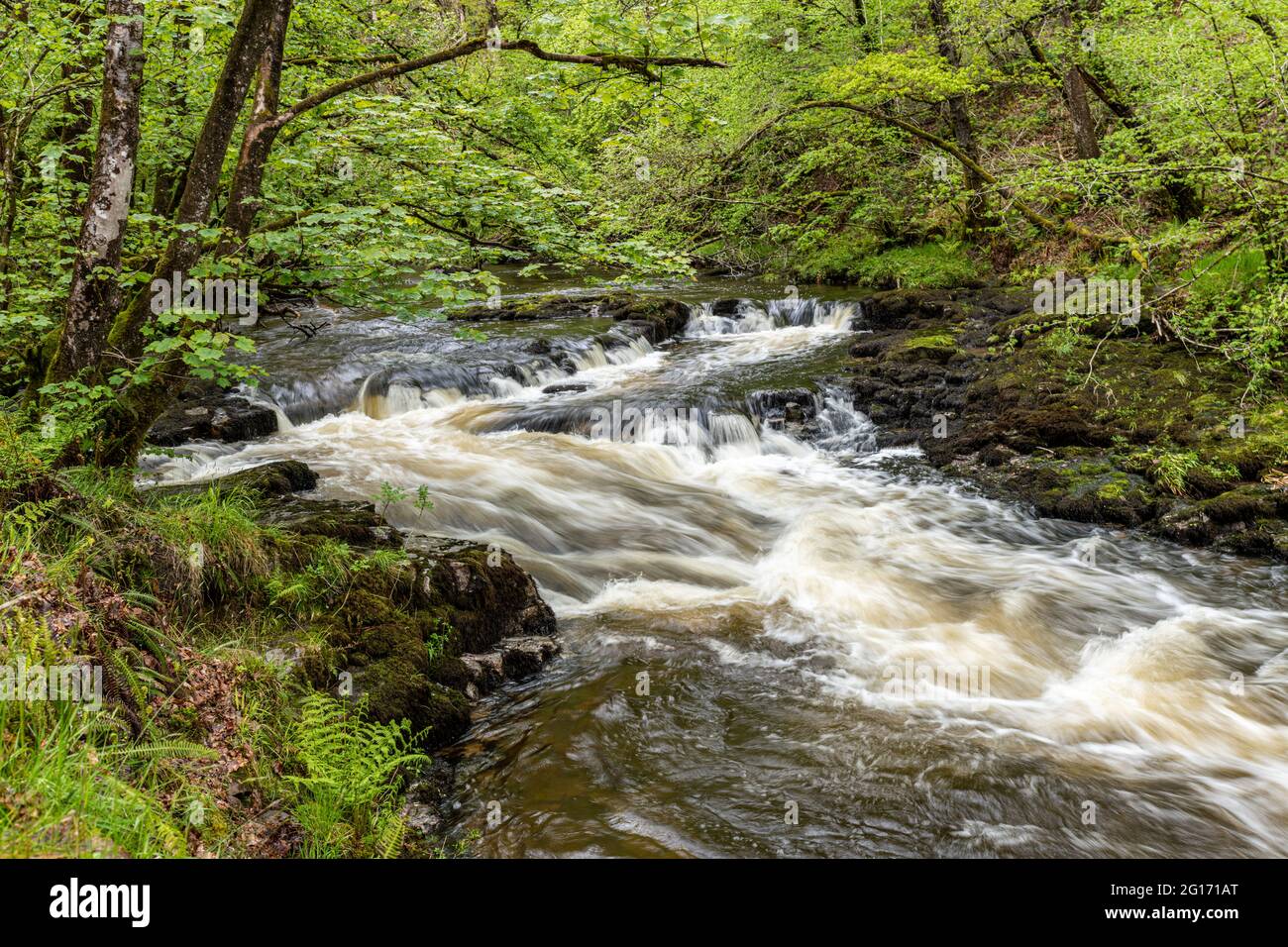 Glyn neath hi-res stock photography and images - Alamy