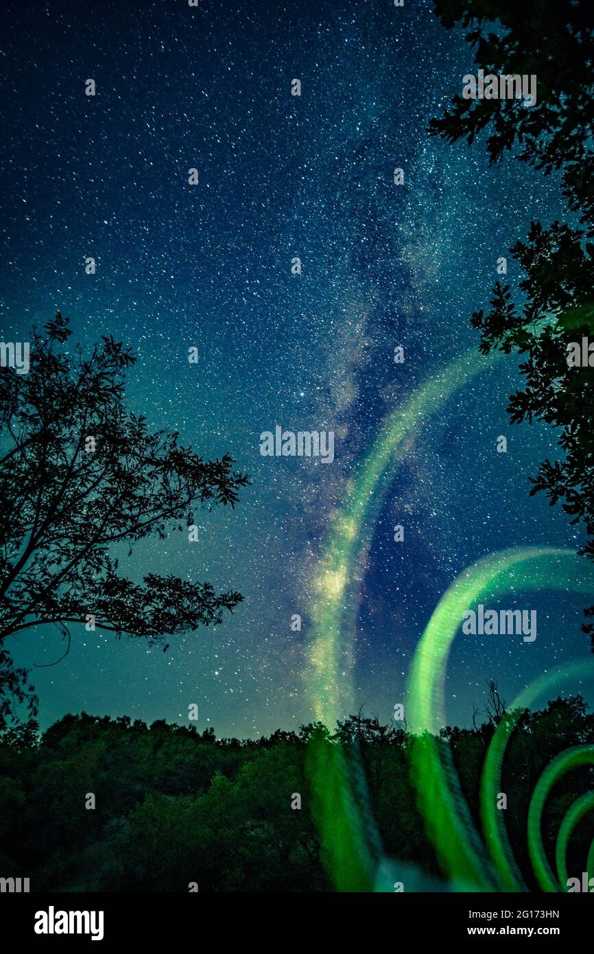 Neon lights on nature background Stock Photo - Alamy